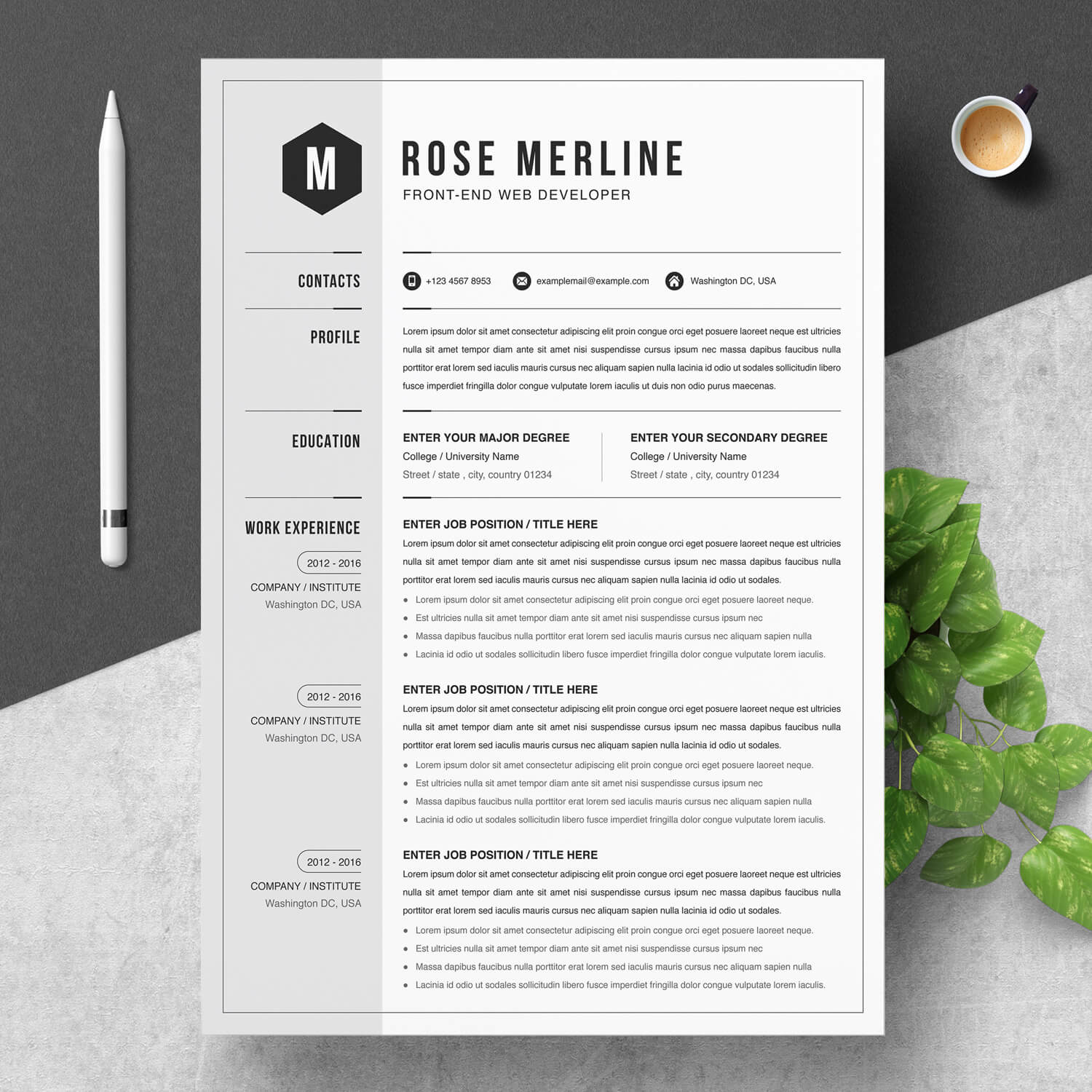 Developer CV Templates 2021 ResumeInventor
