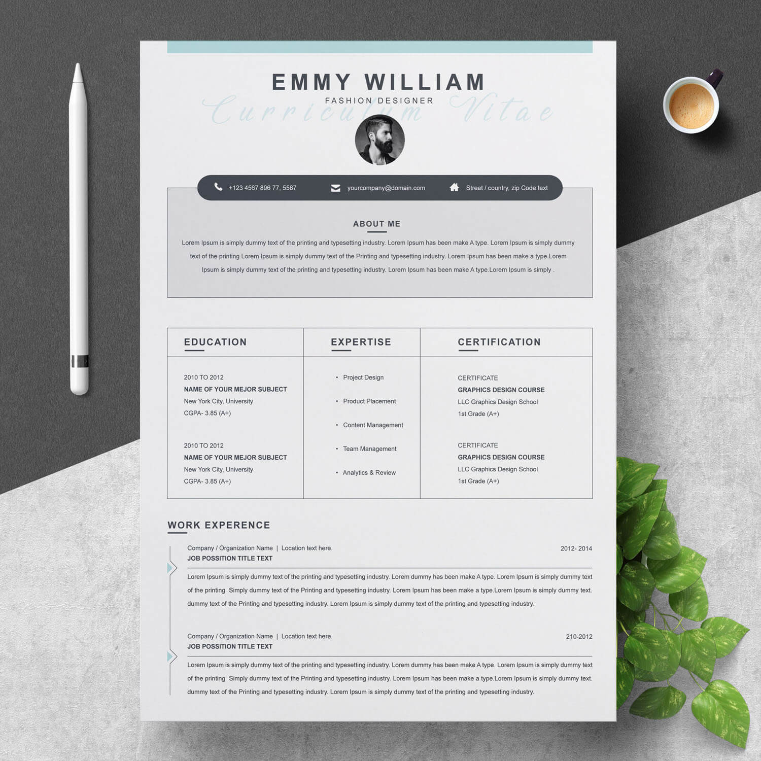 Modern Resume Templates Lomidesigner
